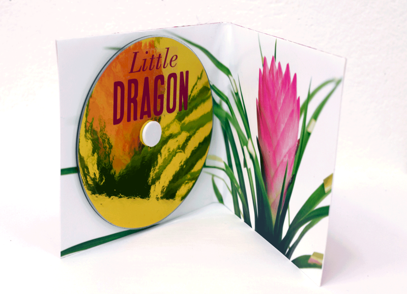 Little Dragon Fall Tour Branding - Yuli Peretz Calatchi