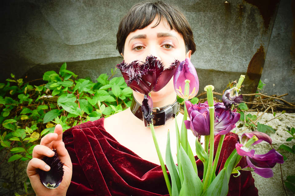 Tulip Series - April Rosenberg