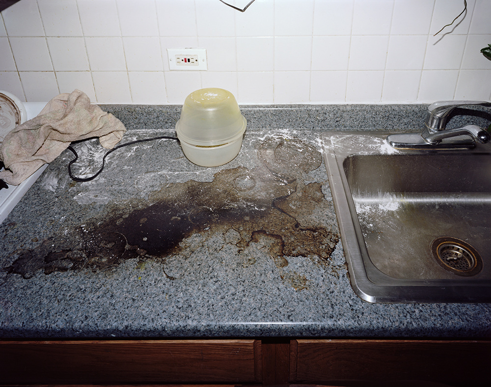 Eastlake Terrorce - http://www.shteynshleyger.com