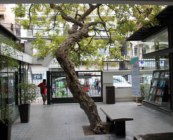 French Cultural Center, Phnom Penh, Cambodia - stephkerr