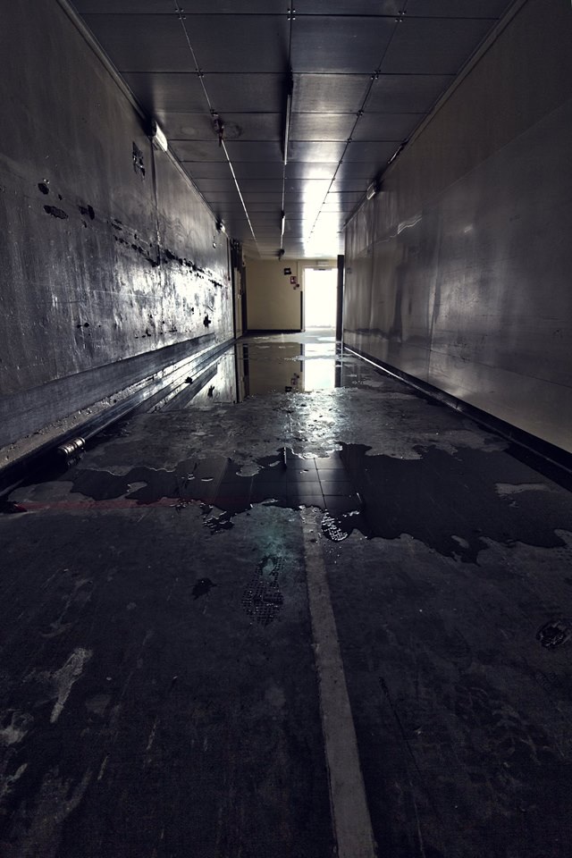 QEII Hospital, Welwyn Garden City - STEPHEN ADAMS