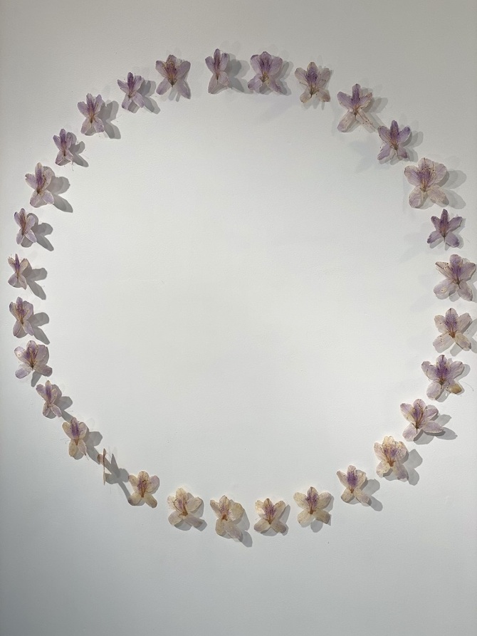 Pressed Azaleas - Gillian Harper