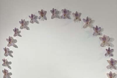 Pressed Azaleas - Gillian Harper