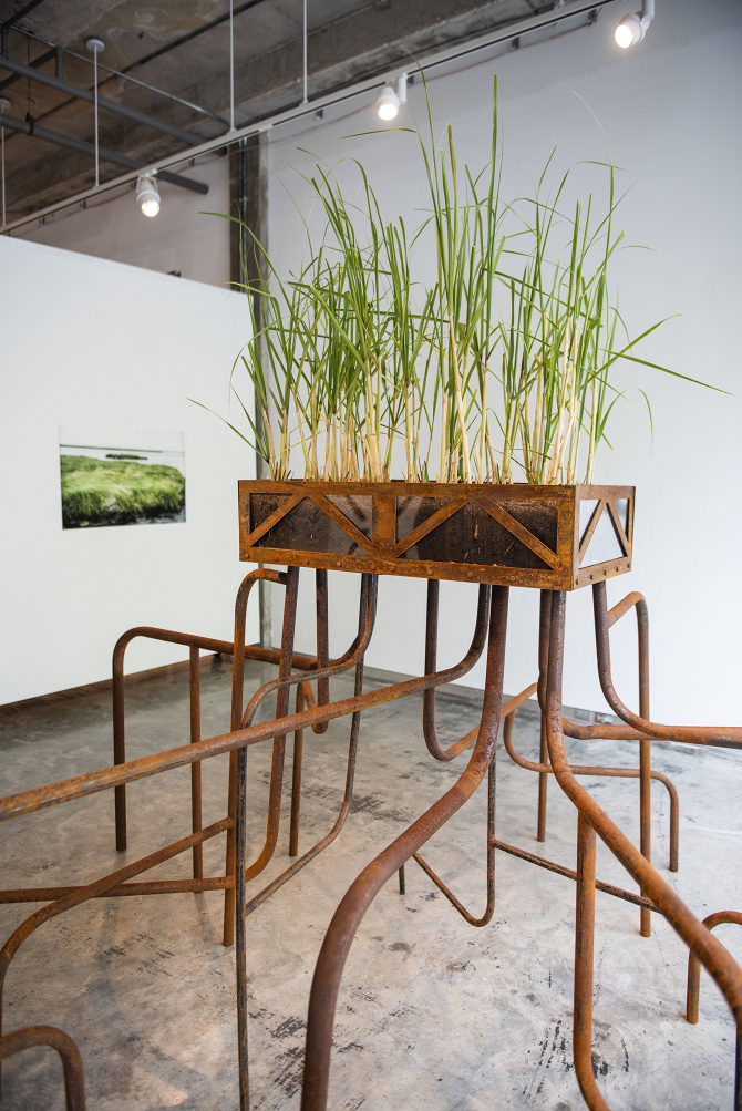 Convoluted Patterns - Gillian Harper