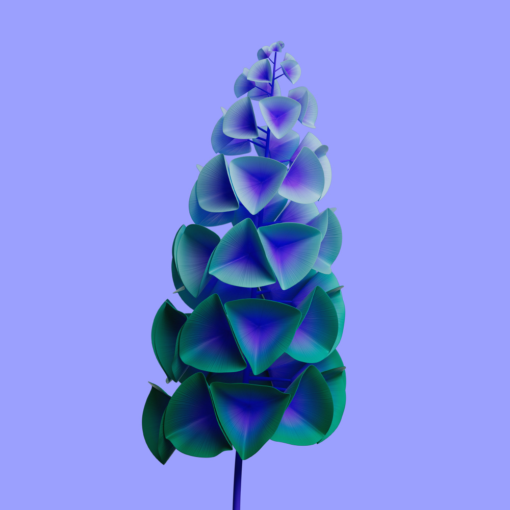 Allspring - Ines Graf