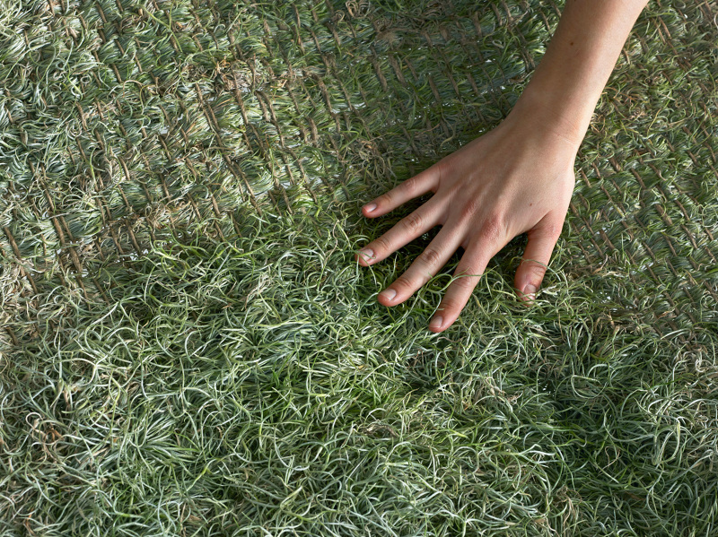 NATURALISE - AINHOA GARMENDIA