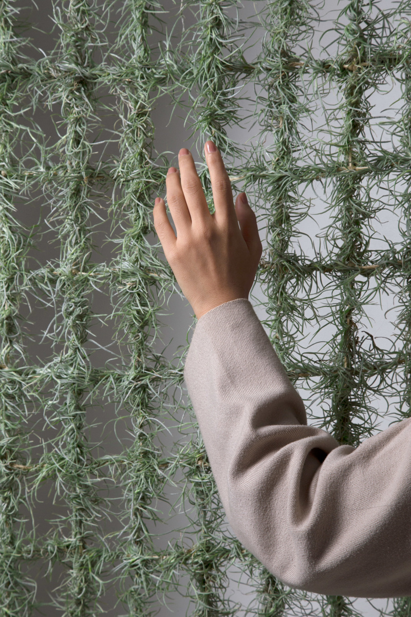 NATURALISE DIVIDER - AINHOA GARMENDIA