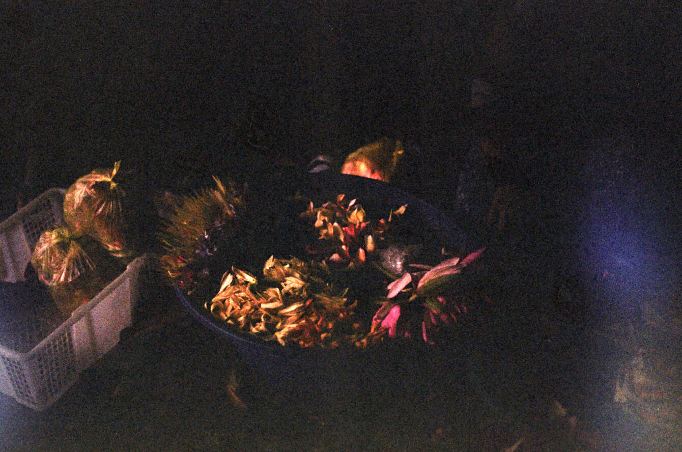 BALI FLOWERS - AINHOA GARMENDIA