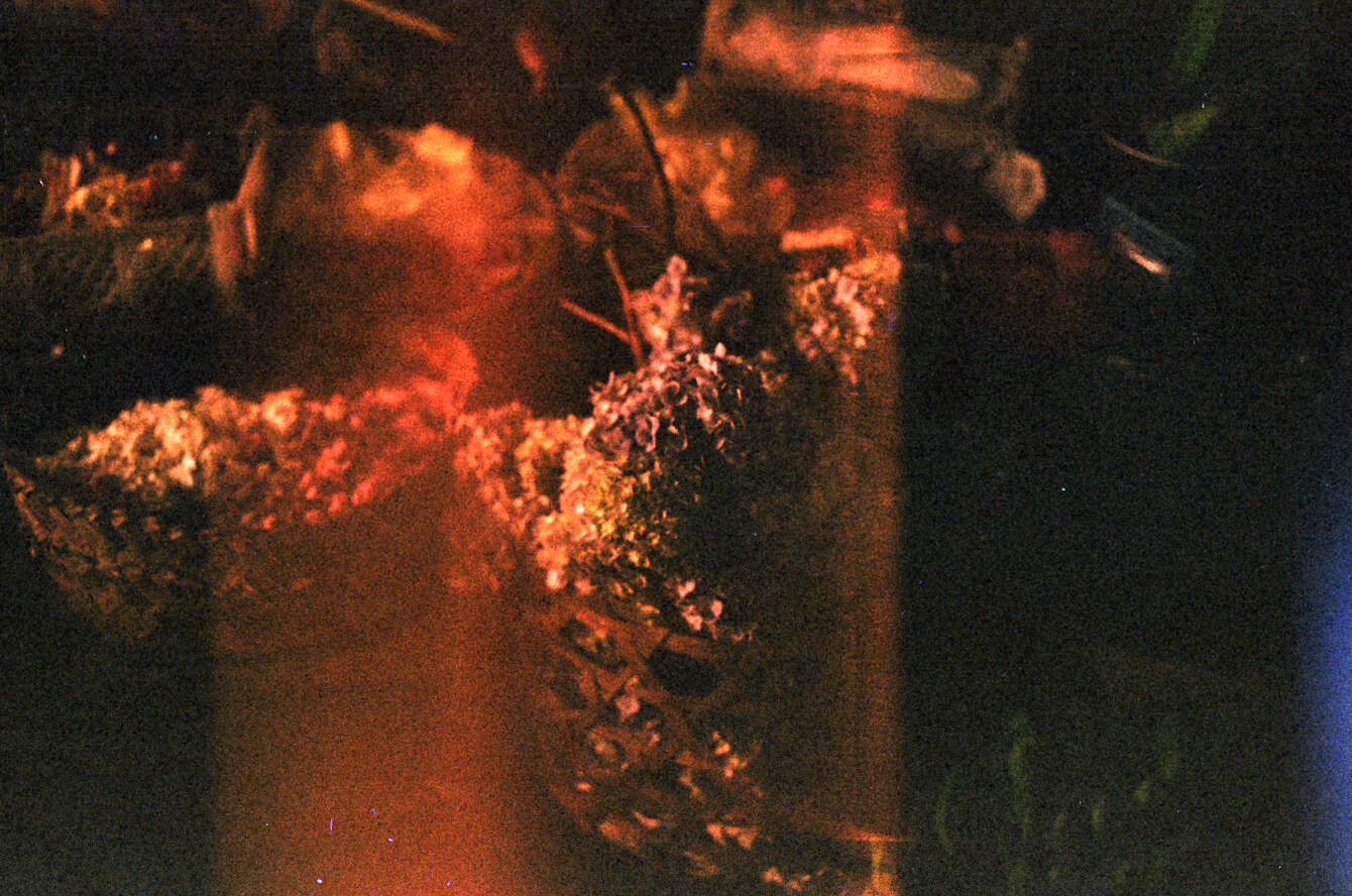 BALI FLOWERS - AINHOA GARMENDIA