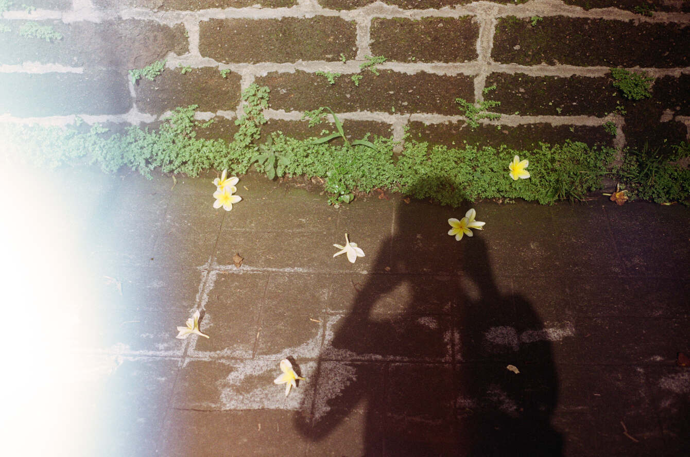 BALI FLOWERS - AINHOA GARMENDIA