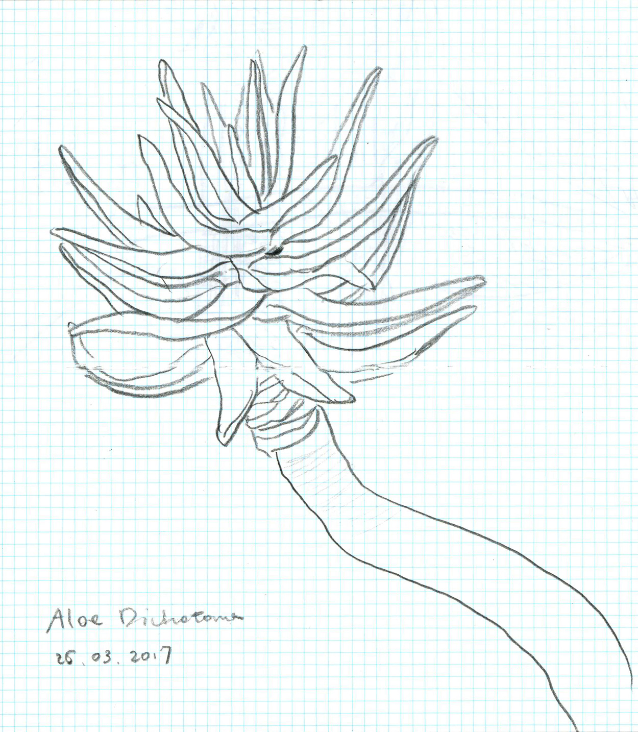 Fragments - Yawen Li