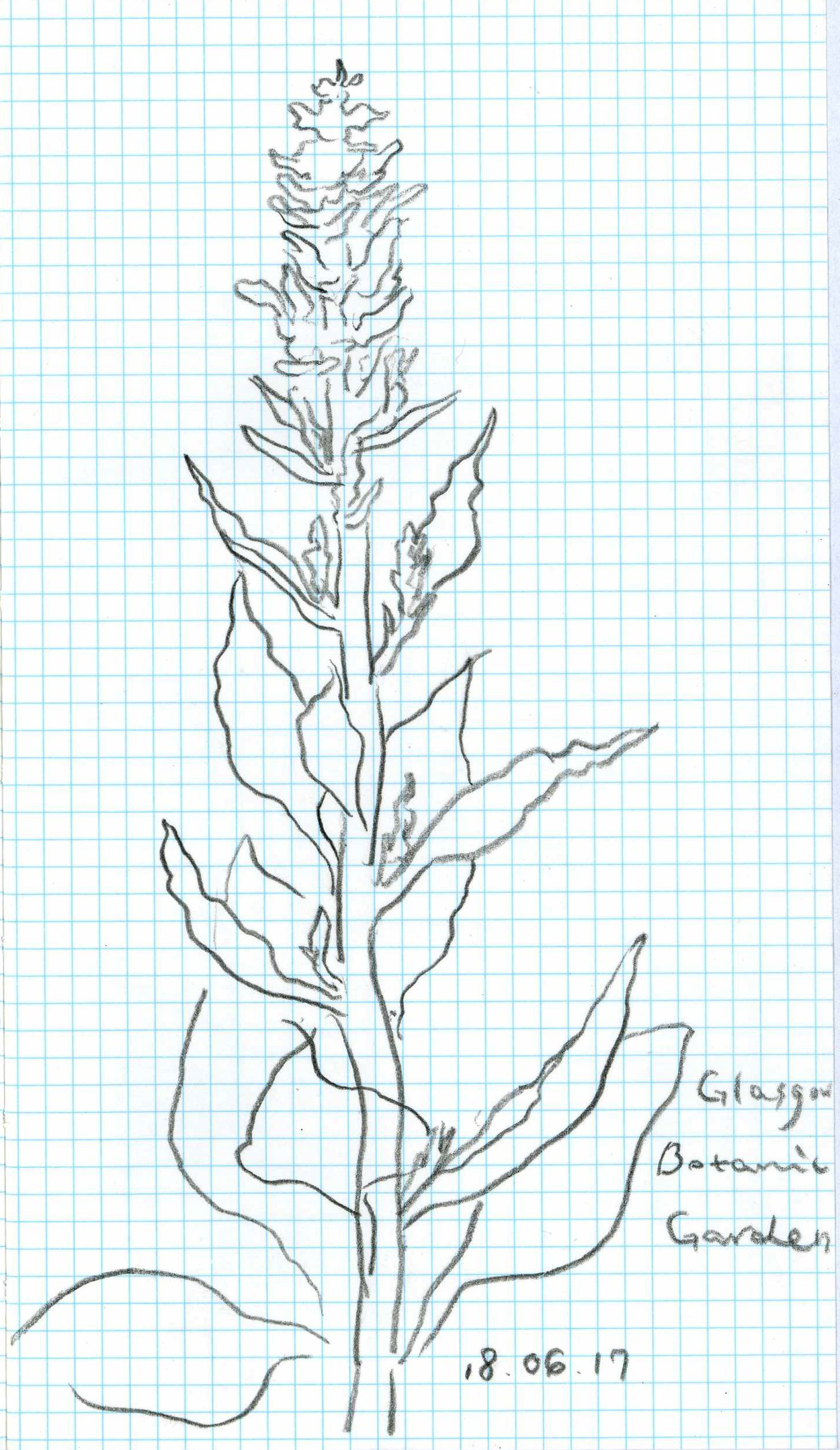 Fragments - Yawen Li