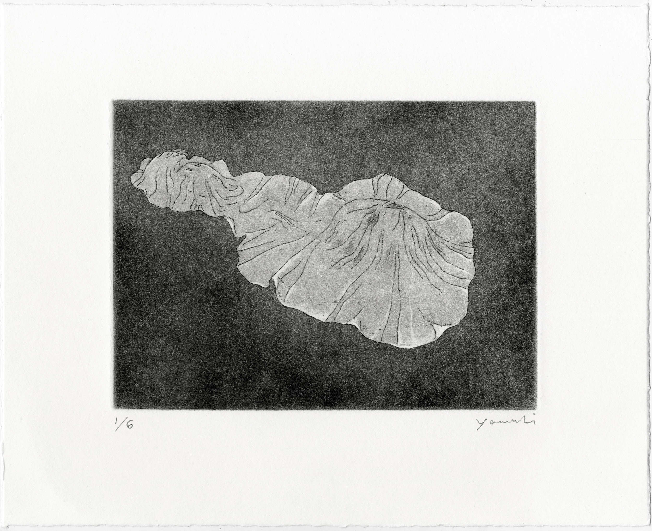 Sleeping Islands - Yawen Li