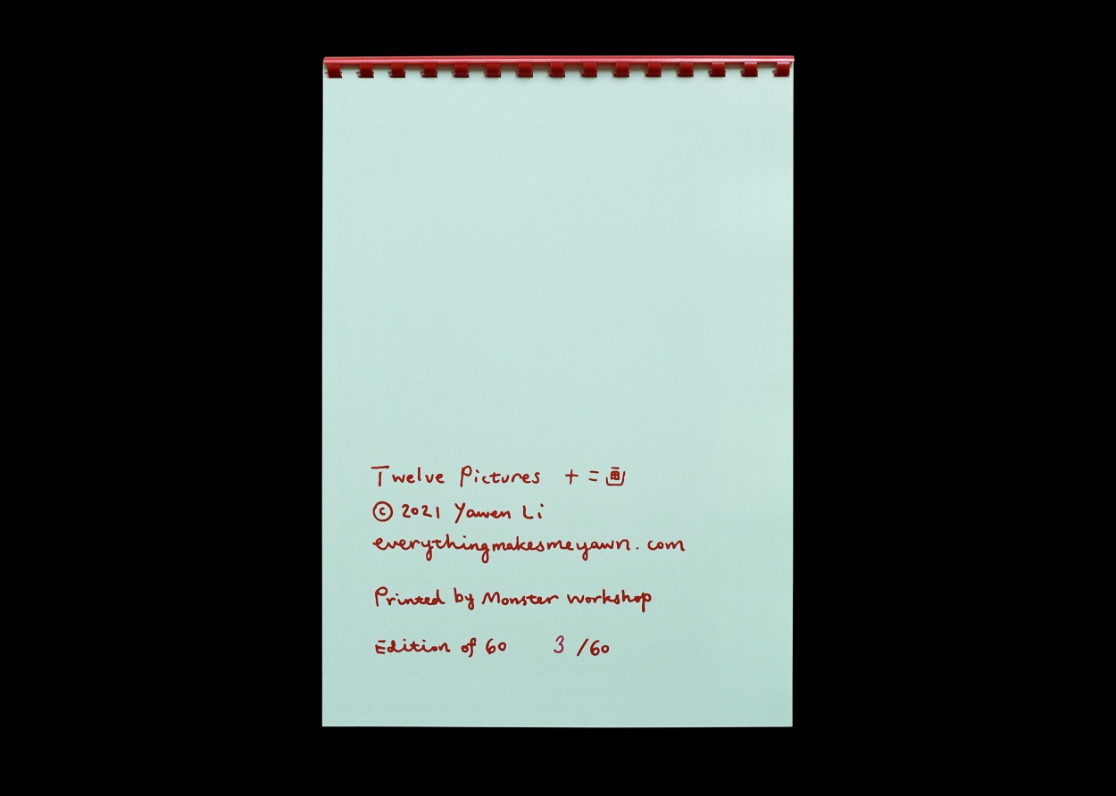 Twelve Pictures - Yawen Li