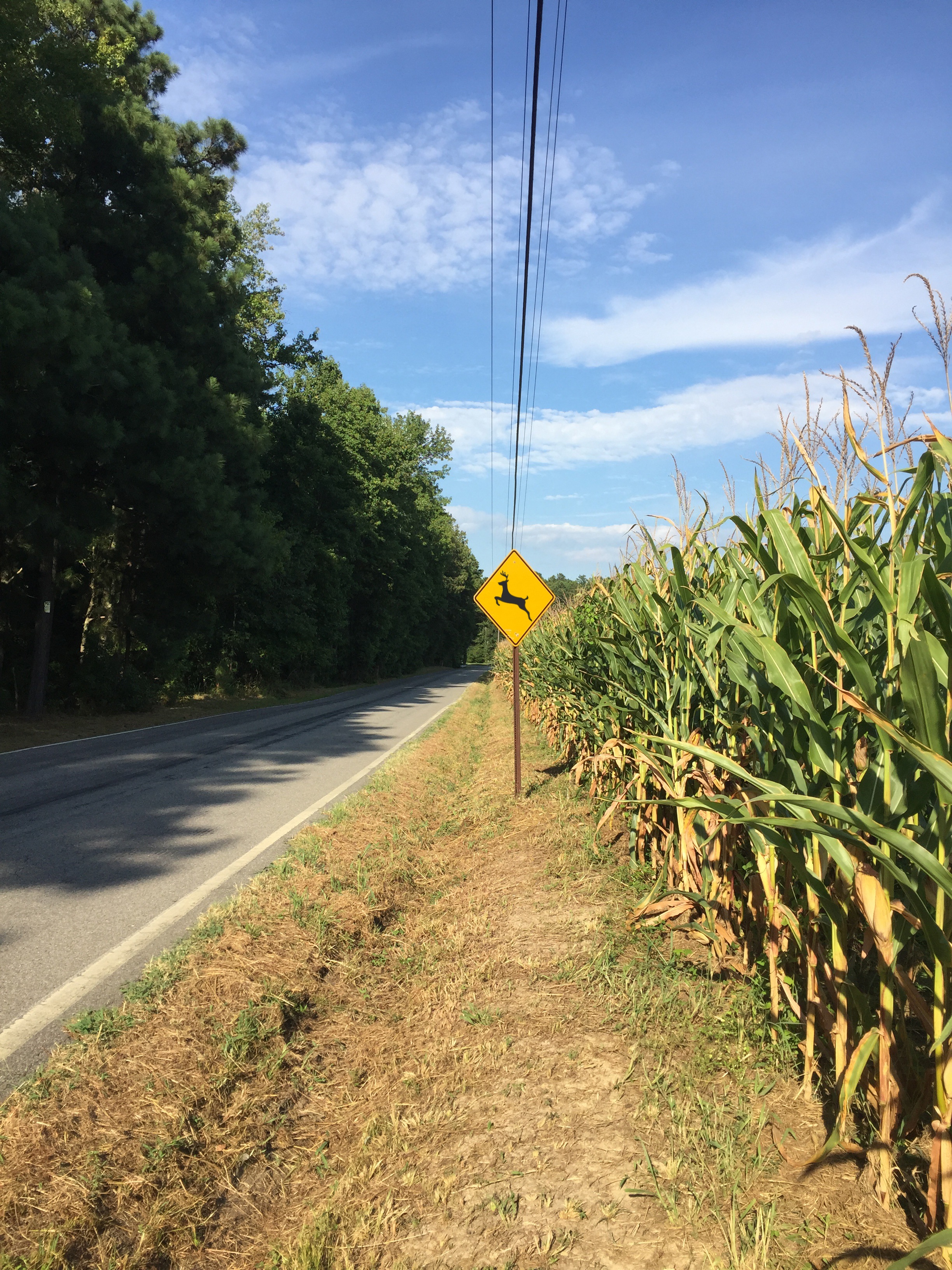 Human interference with the natural - gdes workshop