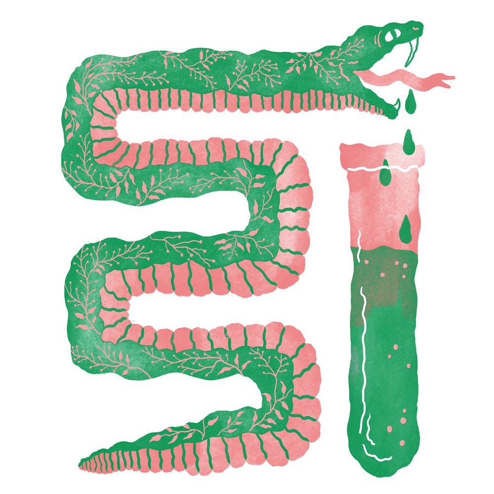 Pick your Poison - Dina Compadre