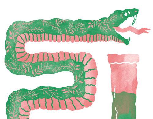 Pick your Poison - Dina Compadre