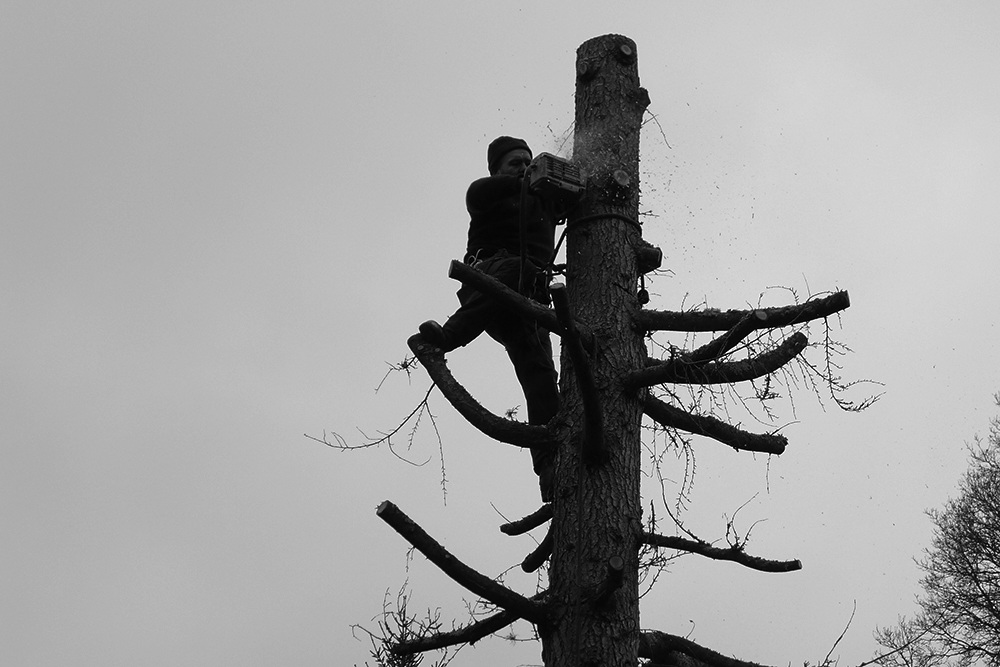 Inanimate Object, or the complete cicle of the soil - Gabriela Albergaria