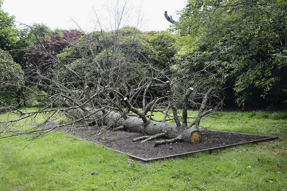 Inanimate Object, or the complete cicle of the soil - Gabriela Albergaria