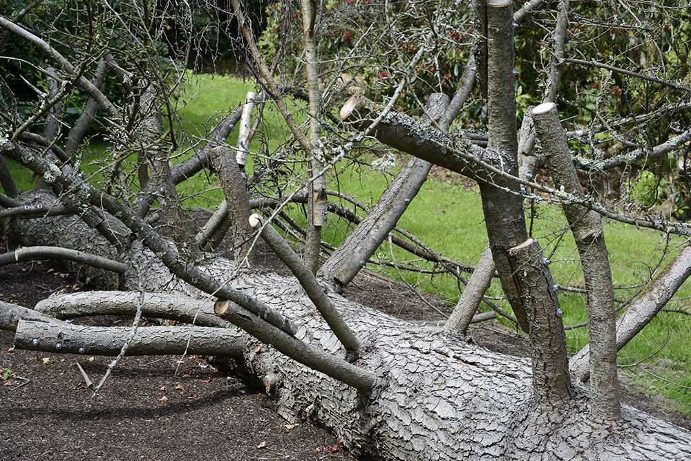 Inanimate Object, or the complete cicle of the soil - Gabriela Albergaria