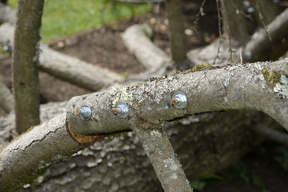 Inanimate Object, or the complete cicle of the soil - Gabriela Albergaria