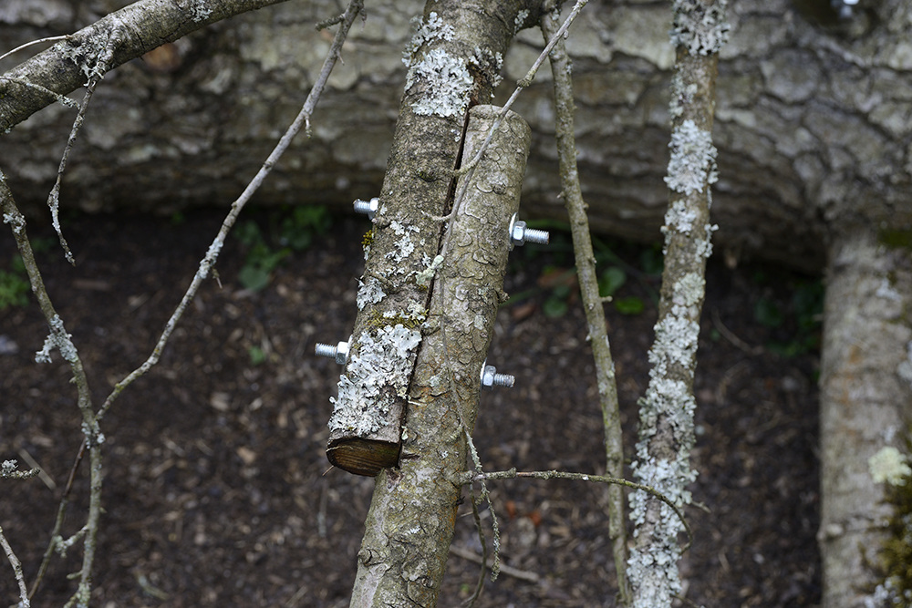 Inanimate Object, or the complete cicle of the soil - Gabriela Albergaria