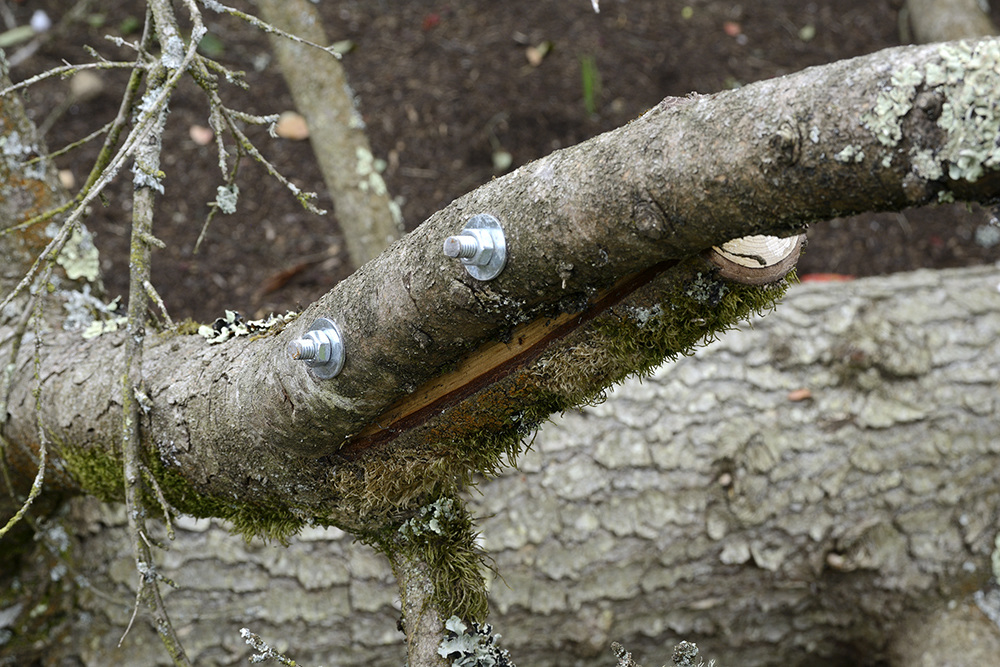 Inanimate Object, or the complete cicle of the soil - Gabriela Albergaria