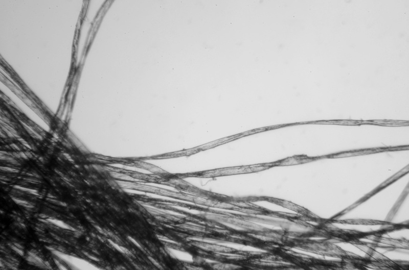 Mnemonic Series 1 - jane-hardstaff.com