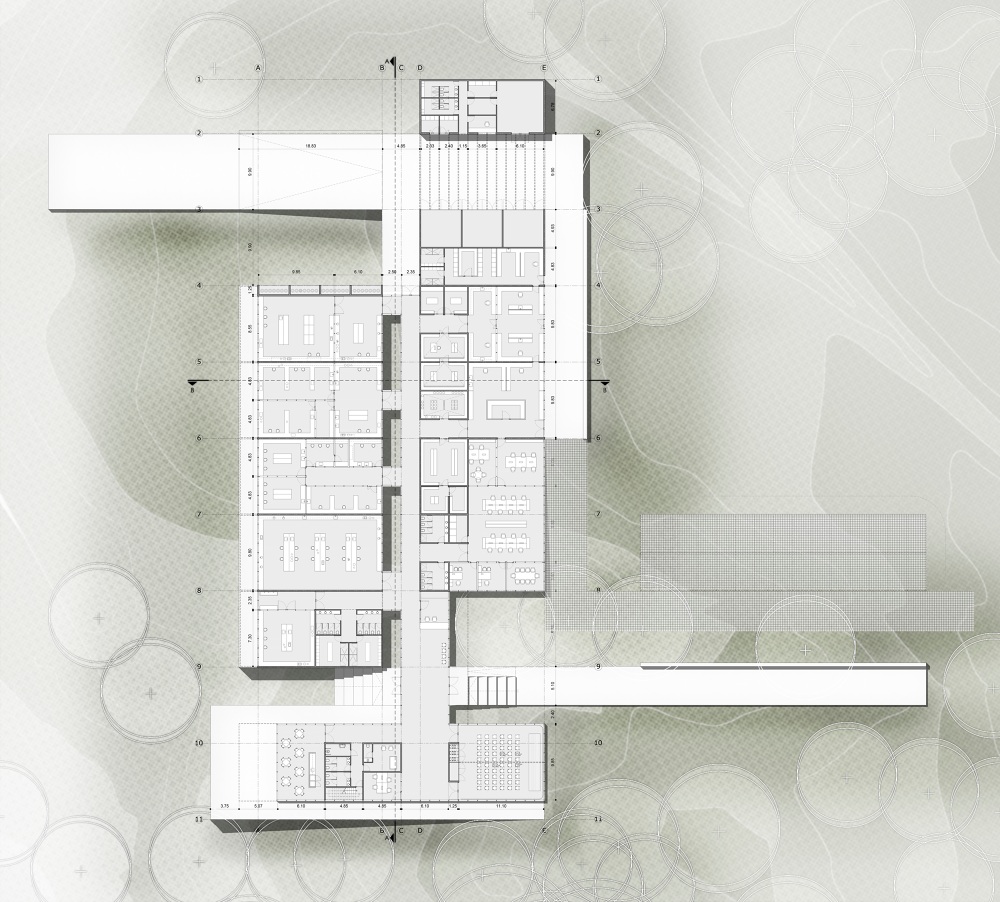 CARU - Leandro Lingeri