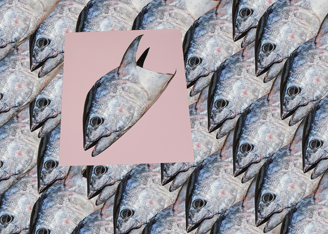 COLLAGE - Liv Hughes