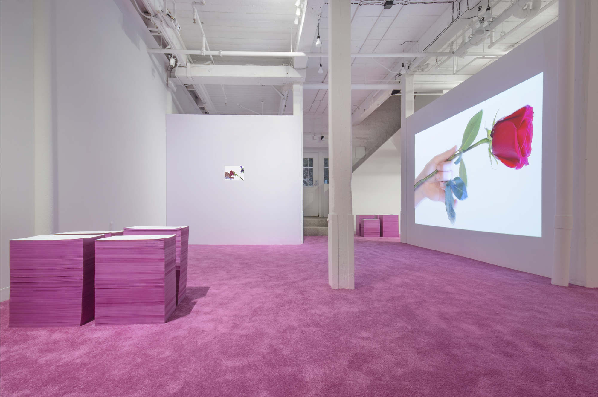 Beautiful, Beautiful, Beautiful Rose! - Amy Beecher