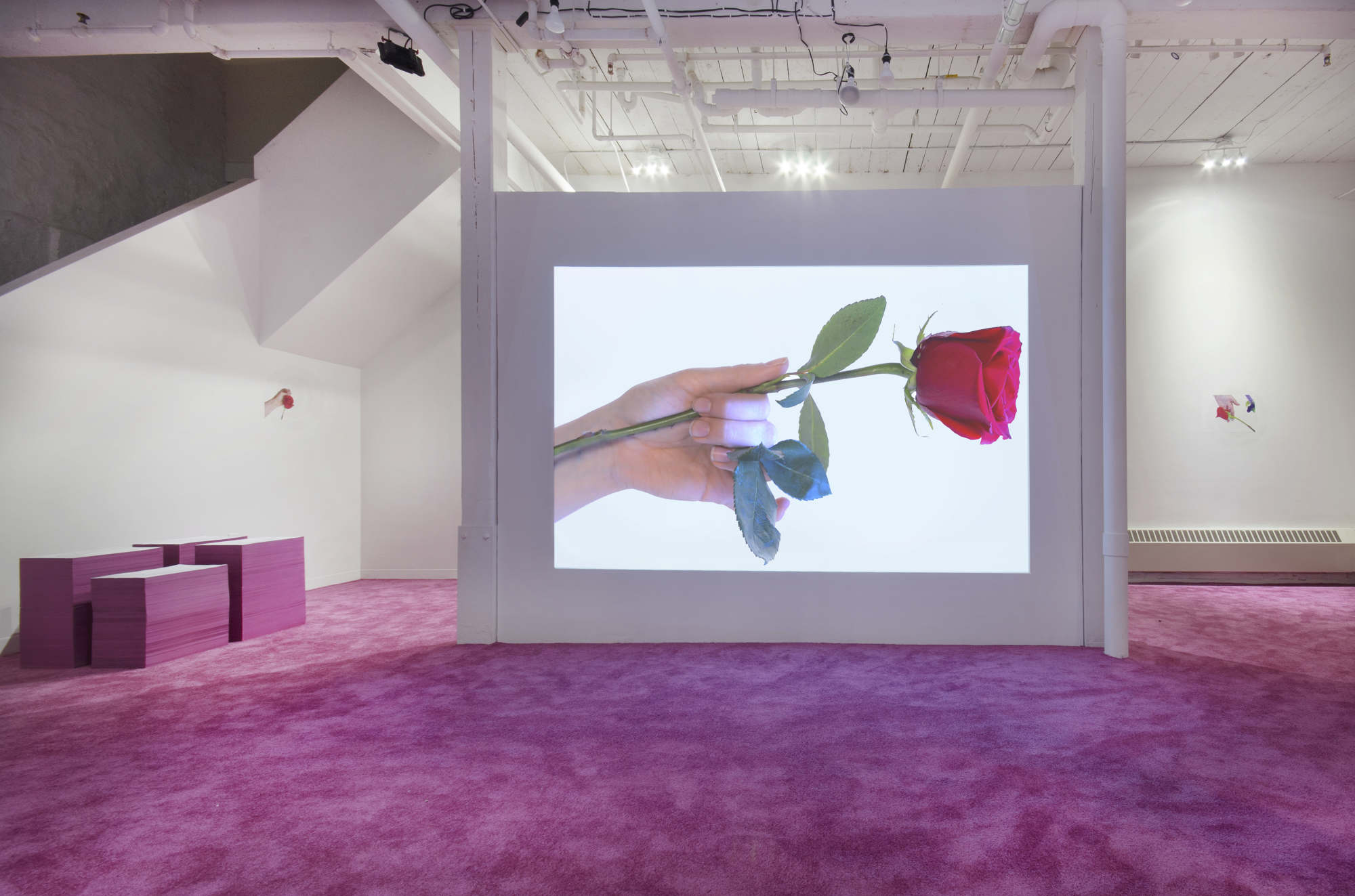 Beautiful, Beautiful, Beautiful Rose! - Amy Beecher