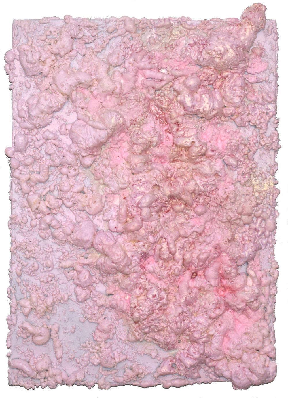 RAW FLESH - experiments (2019) - Laura Nevanperä / Laua portfolio