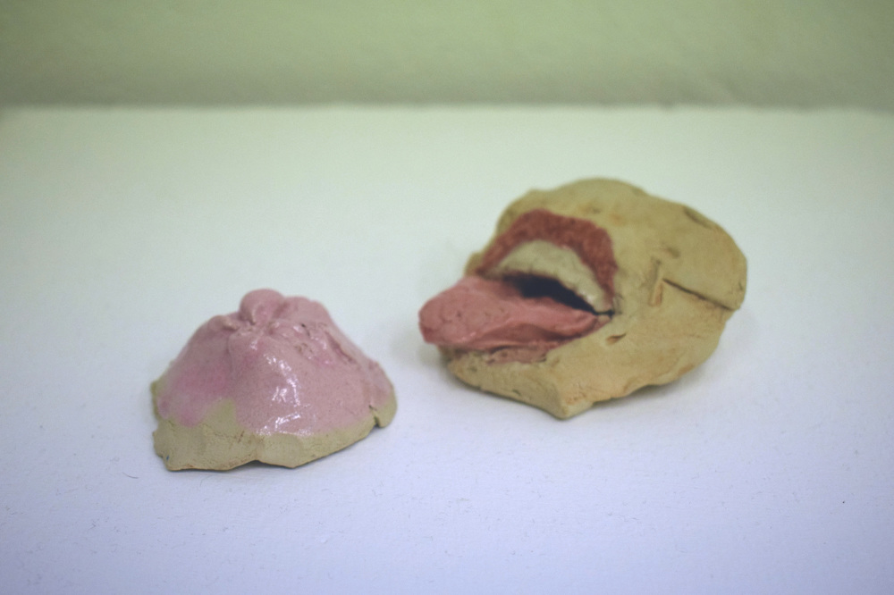 RAW FLESH - experiments (2019) - Laura Nevanperä / Laua portfolio