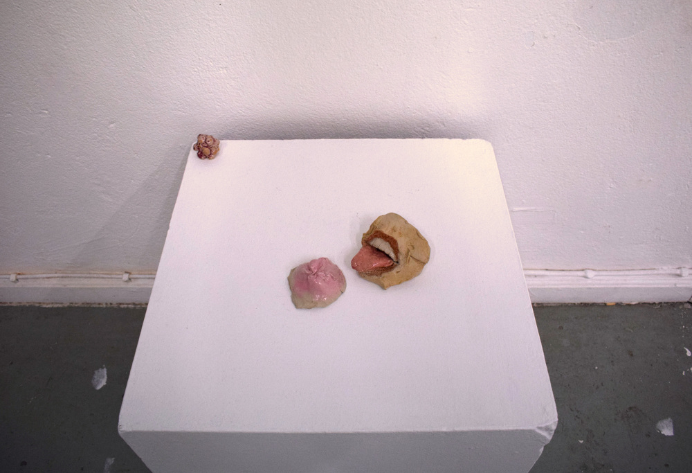 RAW FLESH - experiments (2019) - Laura Nevanperä / Laua portfolio