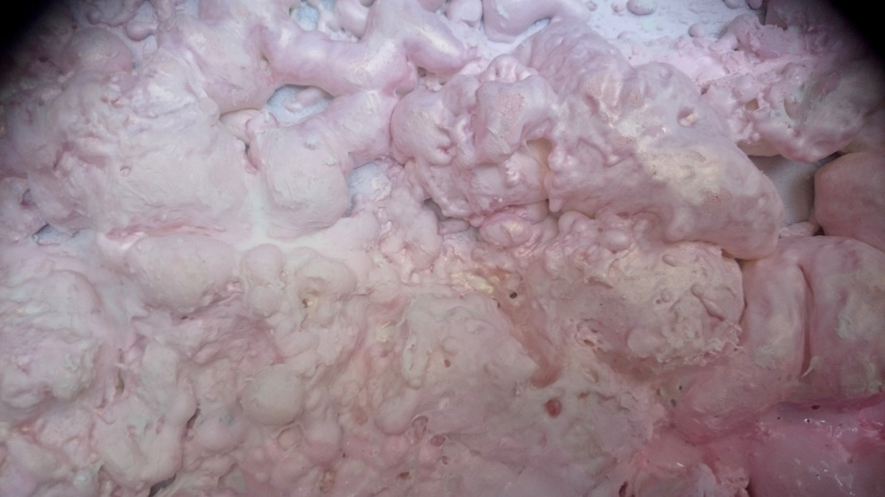 RAW FLESH - experiments (2019) - Laura Nevanperä / Laua portfolio