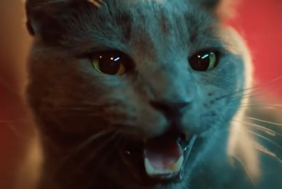 Becker // Gatos - Audrey Prieto