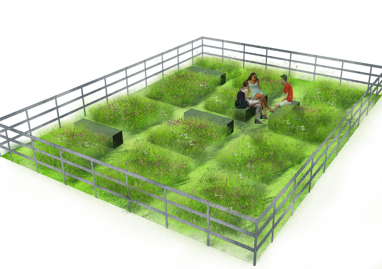 Meadow Formal - Marubbi Landscape