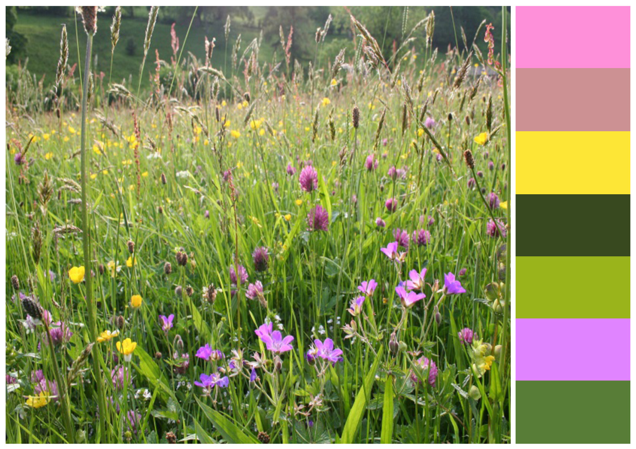 Meadow Formal - Marubbi Landscape