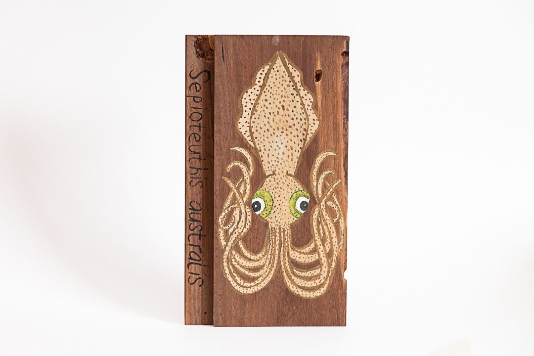 Cephalopod portraits - Southern Reef Squid - Ben Pearmain Illustration