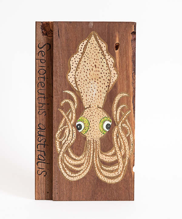 Cephalopod portraits - Southern Reef Squid - Ben Pearmain Illustration
