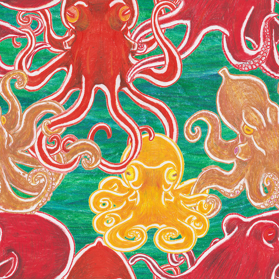 Octopodes - Ben Pearmain Illustration