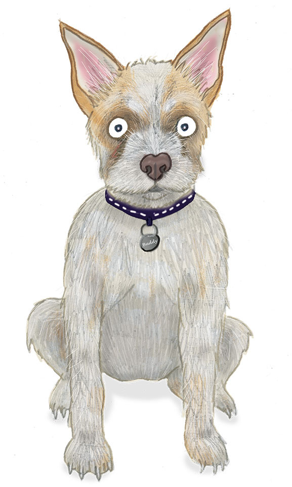 Buddy portrait - Ben Pearmain Illustration