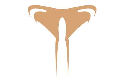 Institutional Syndrome - Marina Papadaki