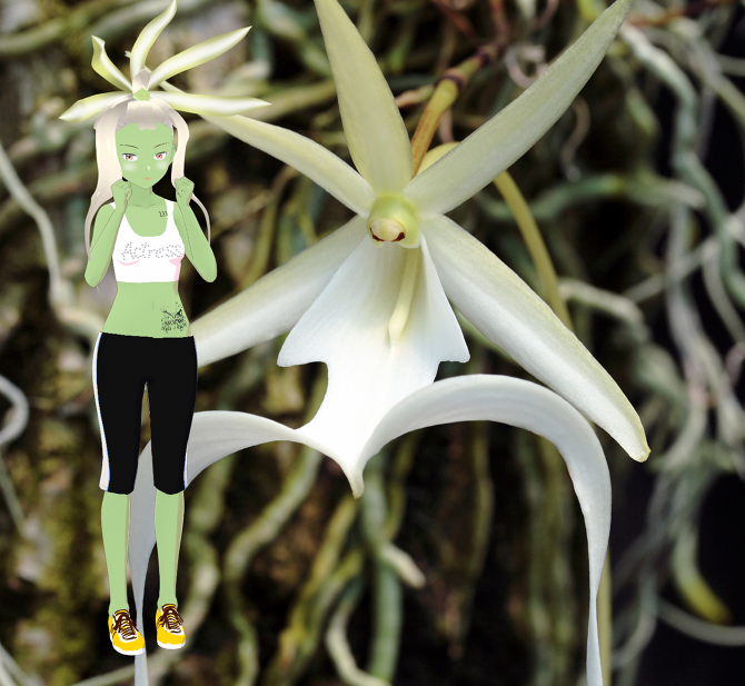 Habit Habit - Kalanjay Dhir