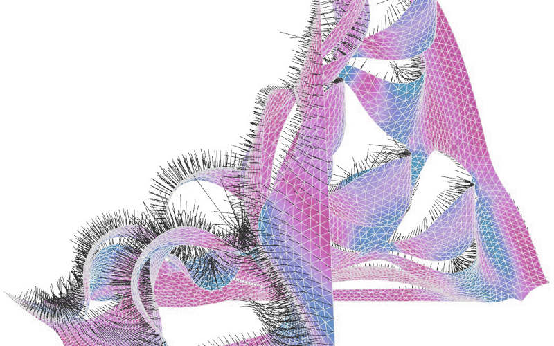 Pine Cone Skin - Lina Vestarte