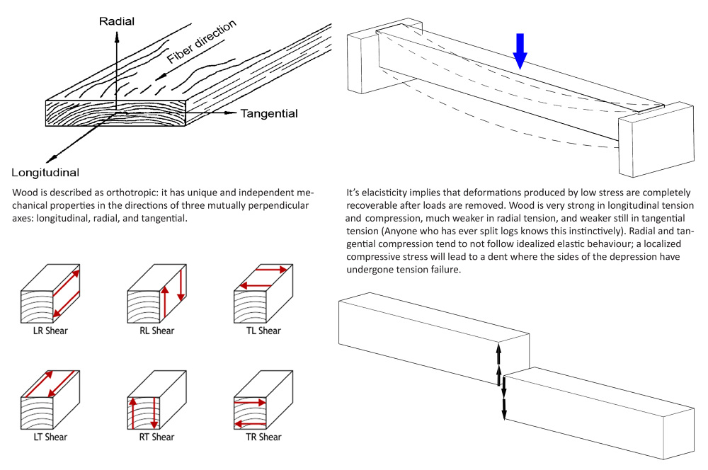 "Digital Xylophagy" - Lina Vestarte