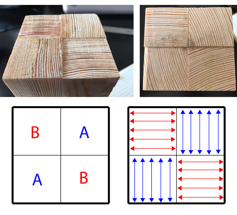 "Digital Xylophagy" - Lina Vestarte