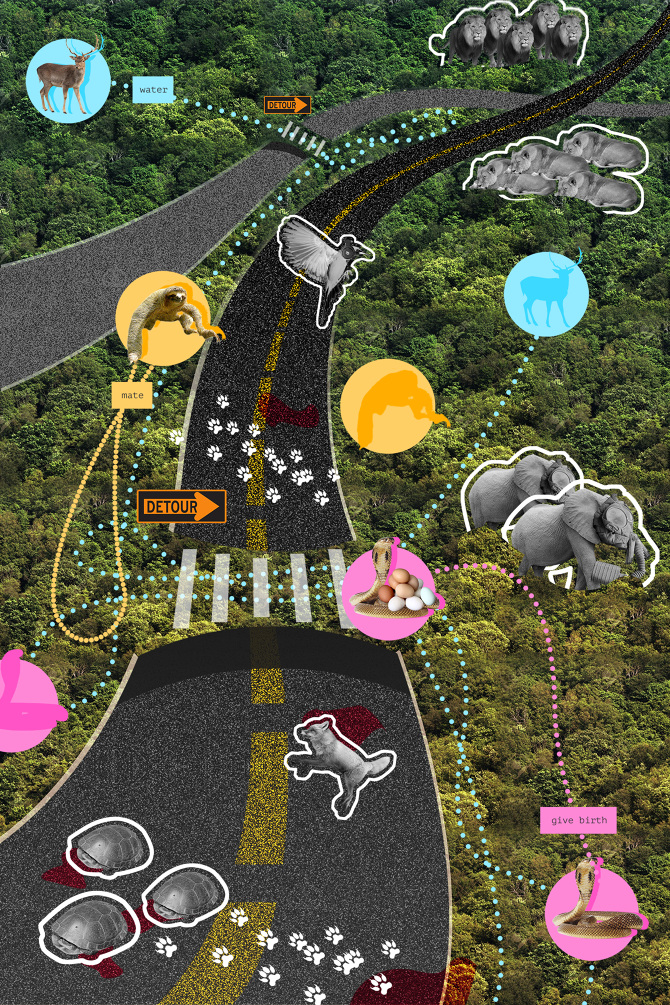 Animal Crosswalks - tianlu