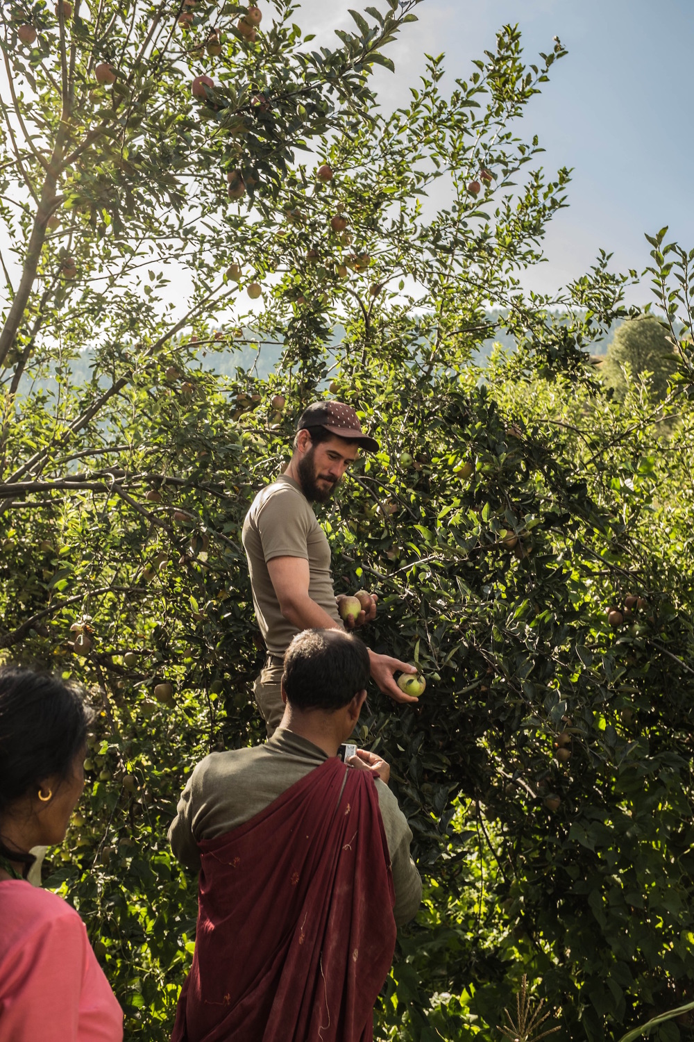 Sinja Valley (Doctoral research) - samuelepoletti.com